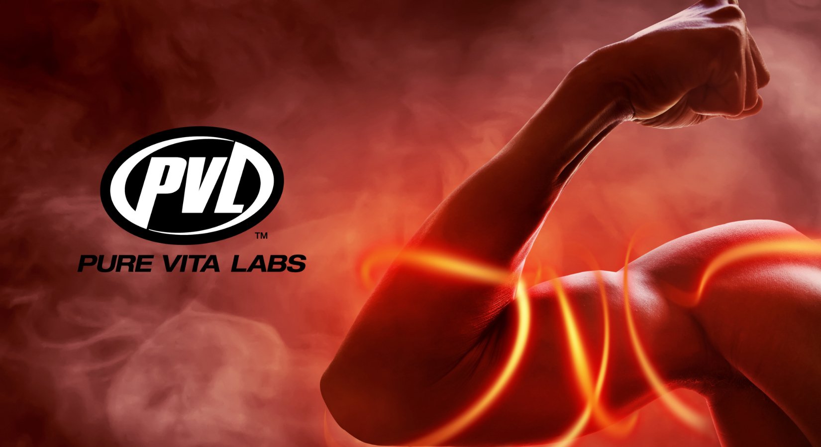 Sail Your Way to Gains using PVL Plant Pro