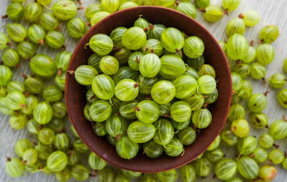 Amla — The Wonder Berry You Should Eat Every Day