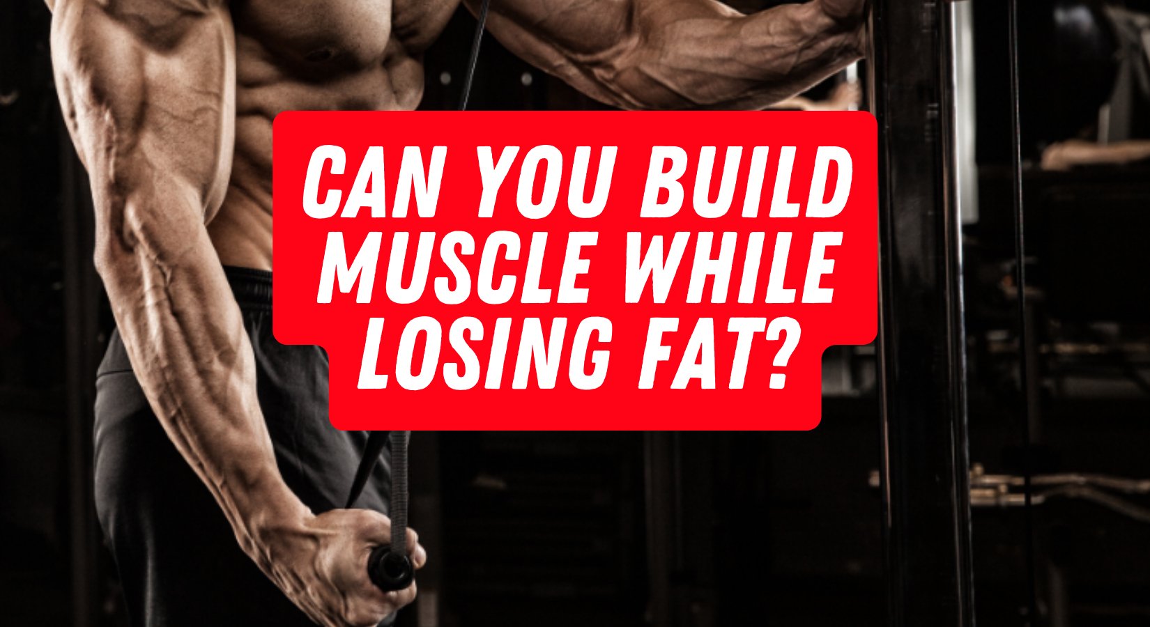 Can You Build Muscle While Losing Fat?