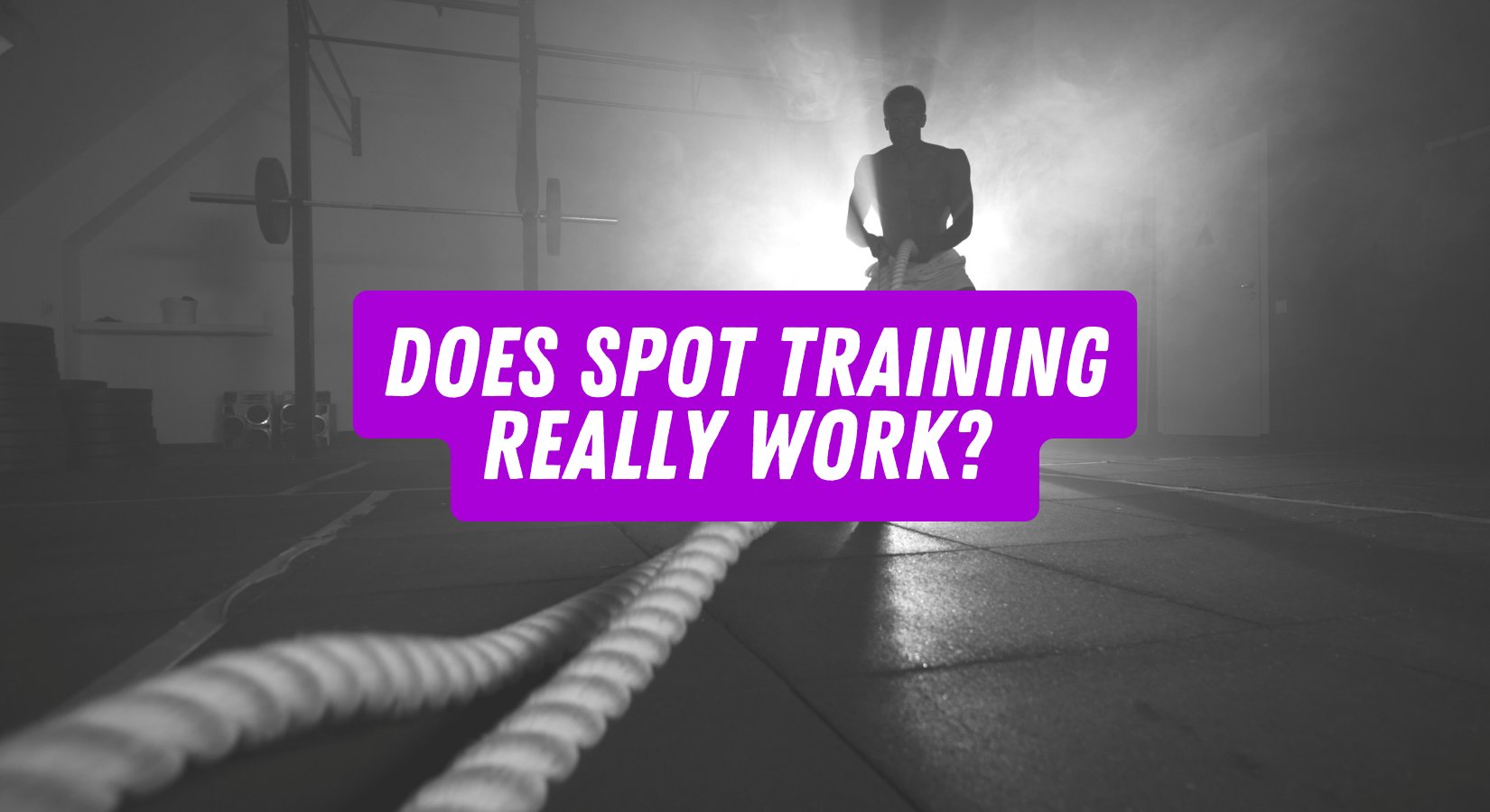 Does Spot Training Really Work?