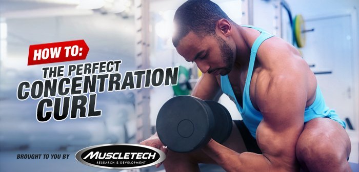How To: The Perfect Concentration Curl