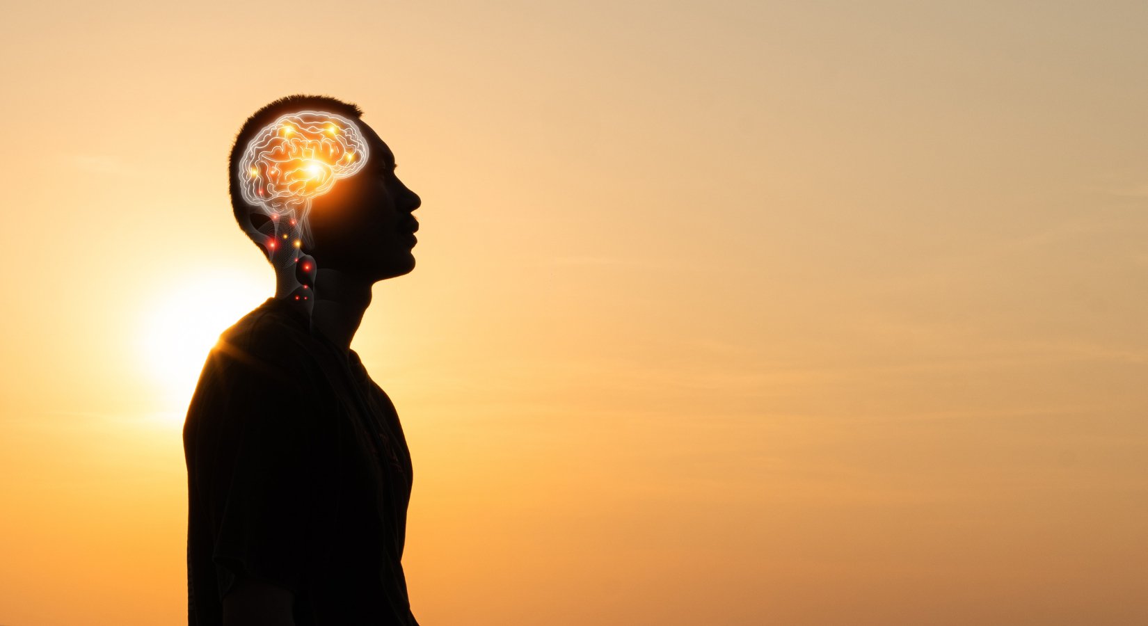 The Role of Trace Minerals in Brain Health